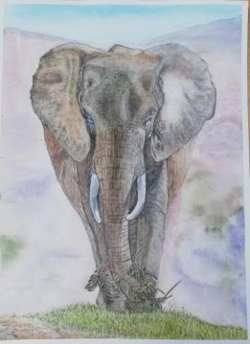 Elephant painting watercolor tutorial, realistic fine-art - The Devon ...