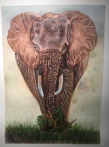 Elephant painting watercolor tutorial, realistic fine-art - The Devon ...