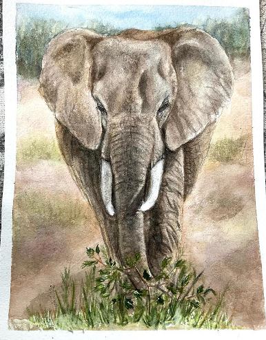 Elephant painting watercolor tutorial, realistic fine-art - The Devon ...