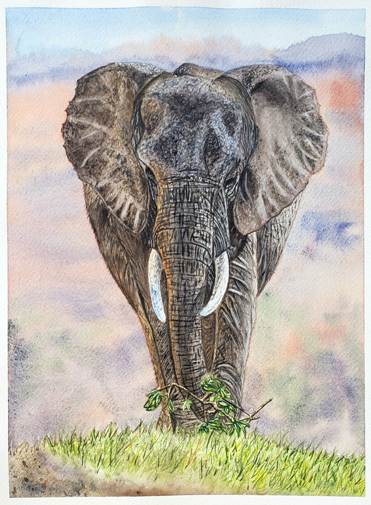 Elephant painting watercolor tutorial, realistic fine-art - The Devon ...