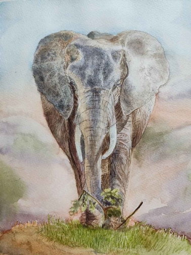Elephant painting watercolor tutorial, realistic fine-art - The Devon ...