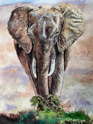 Elephant painting watercolor tutorial, realistic fine-art - The Devon ...