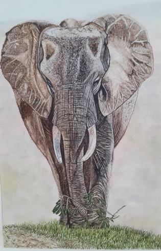 Elephant painting watercolor tutorial, realistic fine-art - The Devon ...