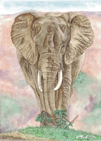 Elephant painting watercolor tutorial, realistic fine-art - The Devon ...