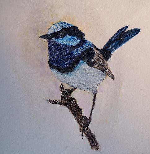 Wren watercolour video tutorial, step-by-step art lesson - The Devon Artist
