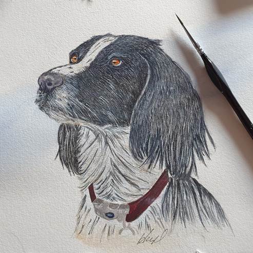 How to paint a dog in watercolor a detailed video tutorial - The Devon ...
