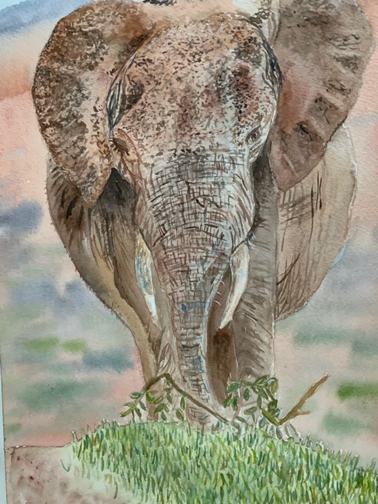 Elephant painting watercolor tutorial, realistic fine-art - The Devon ...