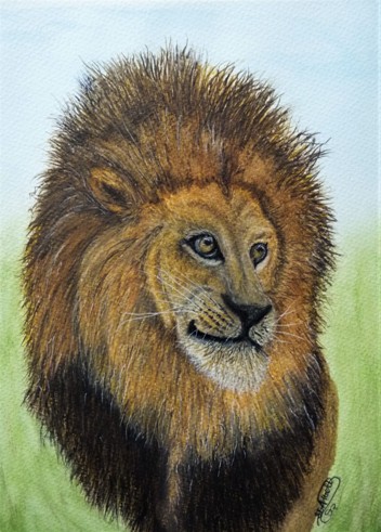 Lion watercolour painting tutorial available online - The Devon Artist