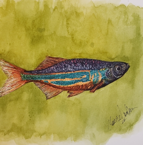 Tropical fish watercolor painting, full video tutorial- The Devon Artist