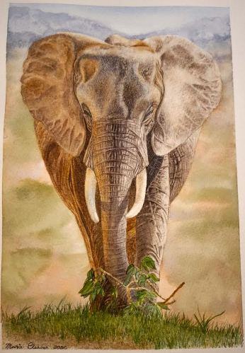 Elephant painting watercolor tutorial, realistic fine-art - The Devon ...