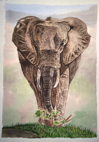 Elephant painting watercolor tutorial, realistic fine-art - The Devon ...