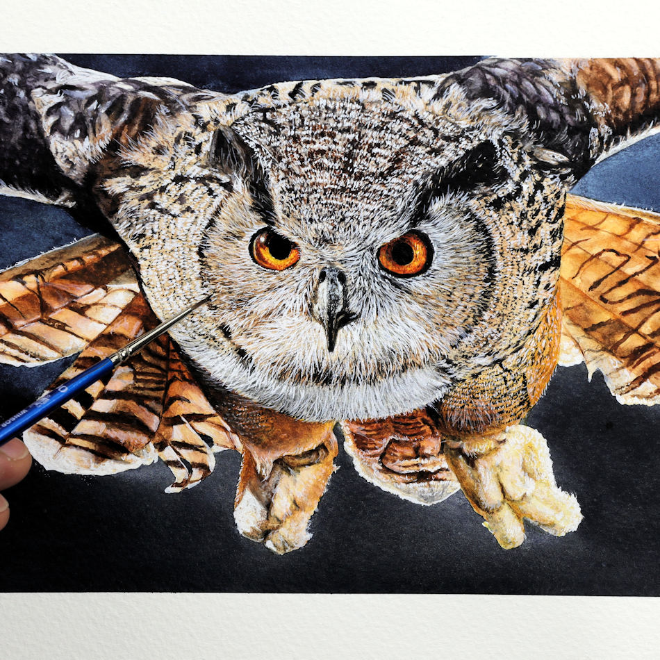 Watercolor owl painting lesson, illustration style - The Devon Artist