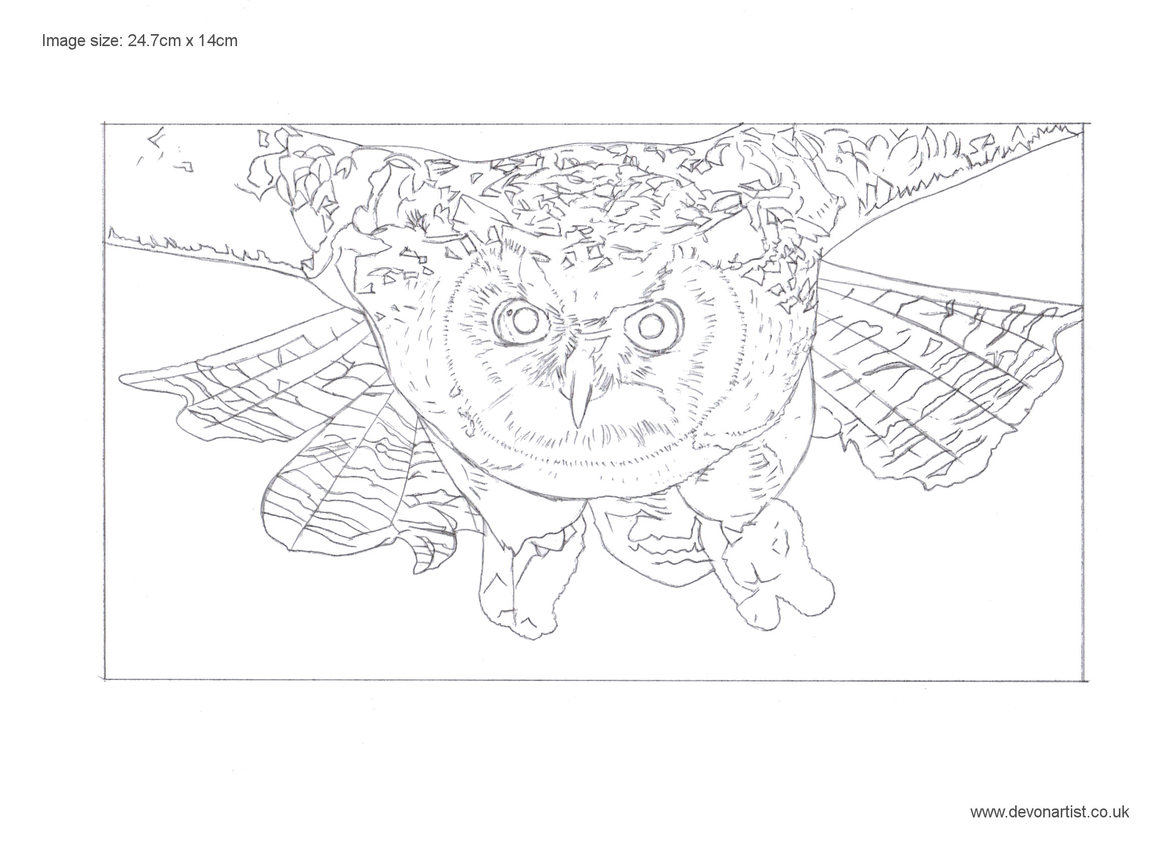 Watercolor owl painting lesson, illustration style - The Devon Artist