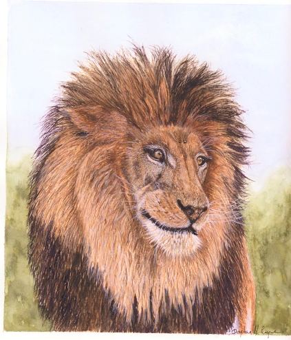 Lion watercolour painting tutorial available online - The Devon Artist