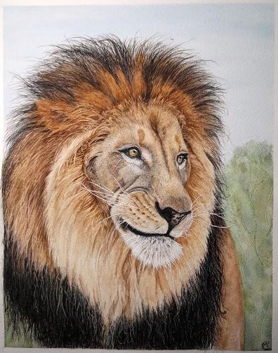 Lion watercolour painting tutorial available online - The Devon Artist