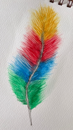 Video lesson on how to paint feathers in watercolour - The Devon Artist