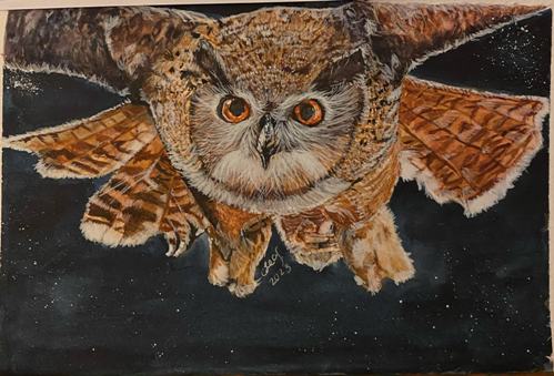 Watercolor owl painting lesson, illustration style - The Devon Artist