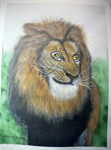 Lion watercolour painting tutorial available online - The Devon Artist