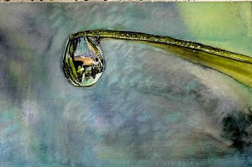 How to paint water drops in watercolor - The Devon Artist