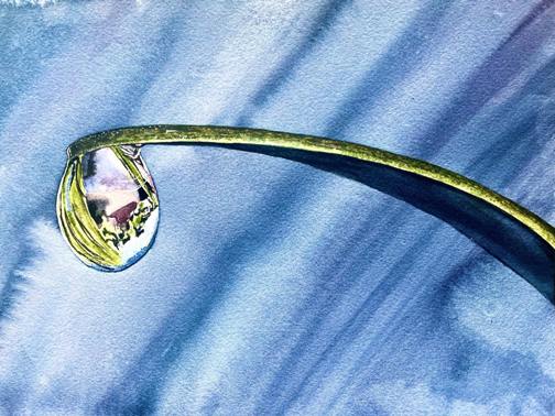How to paint water drops in watercolor - The Devon Artist