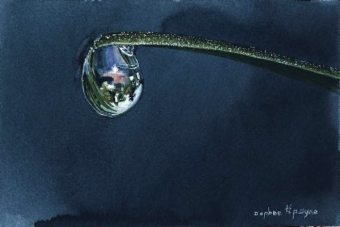 How to paint water drops in watercolor - The Devon Artist