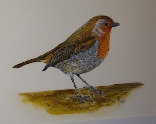 Learn to paint a robin in watercolour with a free tutorial - The Devon ...