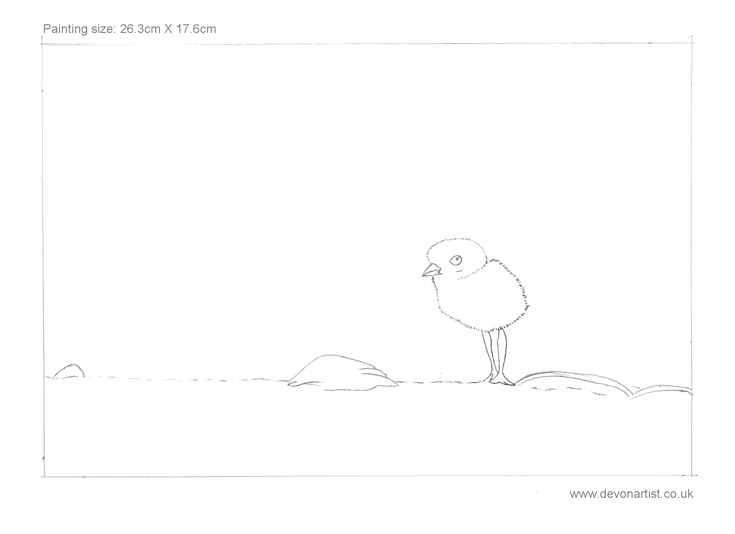 How to paint fluffy feathers with watercolour - The Devon Artist