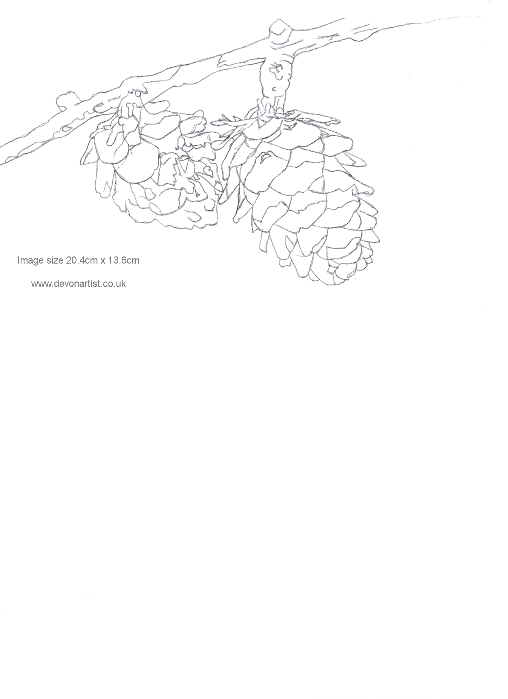 How to paint pine cones in watercolour in detail - The Devon Artist