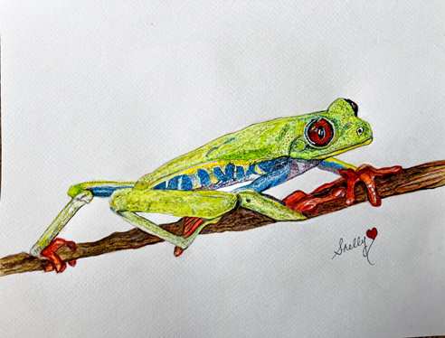 How to paint tree frogs in watercolor, easy video tutorial - The Devon ...