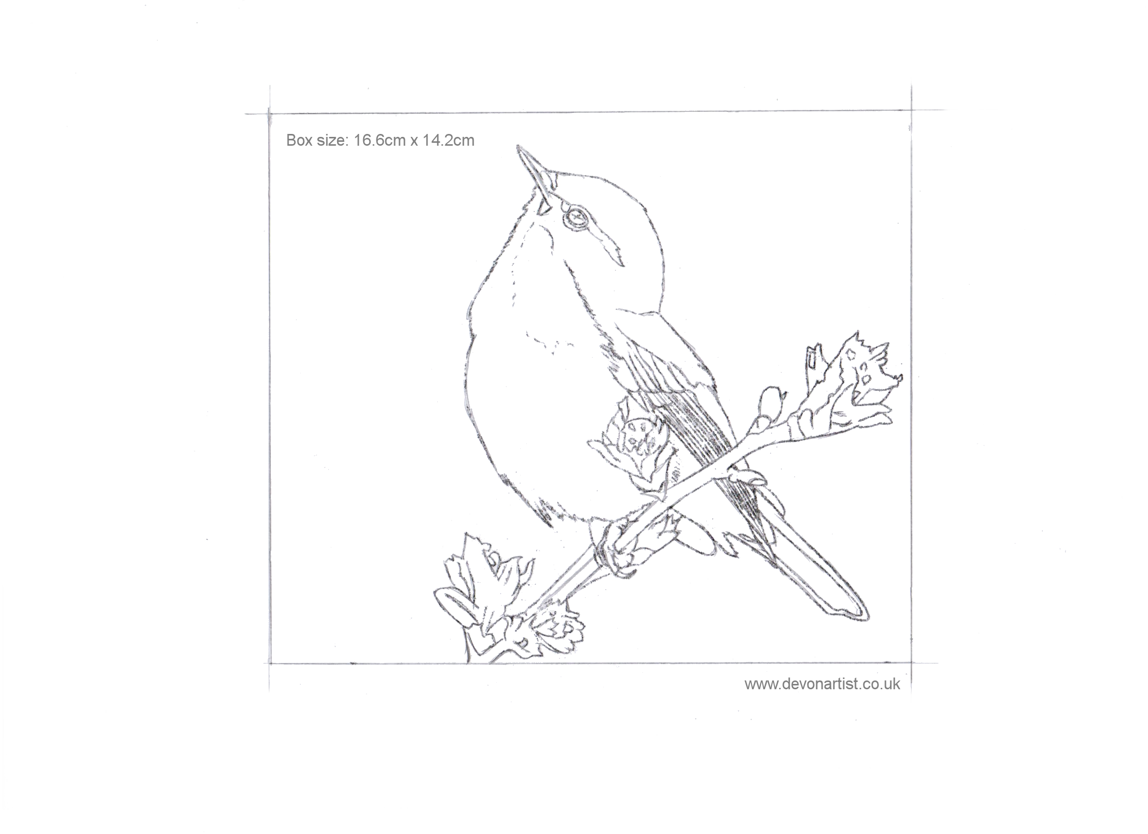 Watercolour bird painting challenge - semi-solo - The Devon Artist
