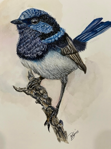 Wren watercolour video tutorial, step-by-step art lesson - The Devon Artist