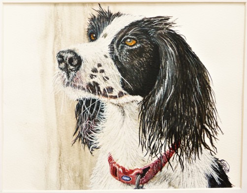 How to paint a dog in watercolor a detailed video tutorial - The Devon ...