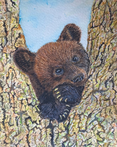 Painting a realistic watercolor bear, complete tutorial - The Devon Artist