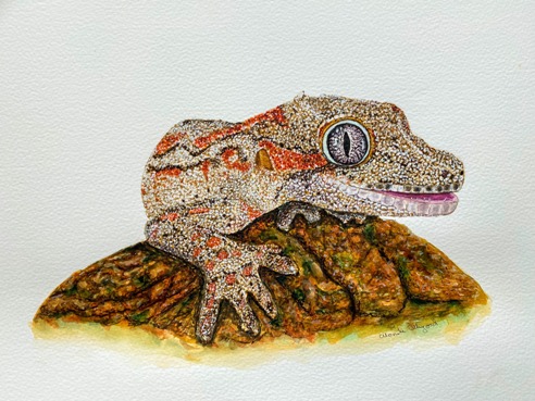 How to paint reptiles in watercolour online lesson - The Devon Artist