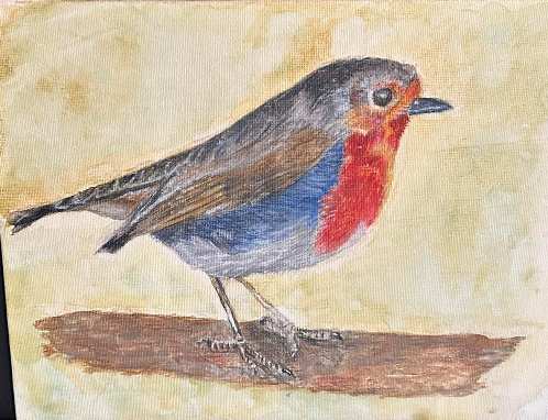 Learn to paint a robin in watercolour with a free tutorial - The Devon ...