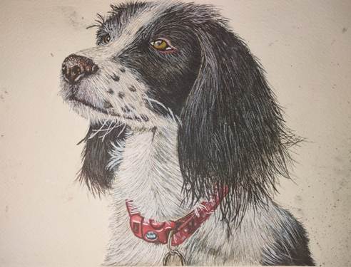 How to paint a dog in watercolor a detailed video tutorial - The Devon ...