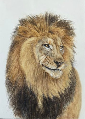Lion watercolour painting tutorial available online - The Devon Artist