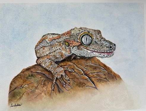 How to paint reptiles in watercolour online lesson - The Devon Artist