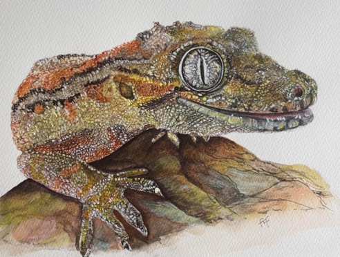 How to paint reptiles in watercolour online lesson - The Devon Artist