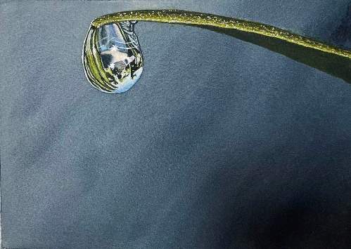 How to paint water drops in watercolor - The Devon Artist