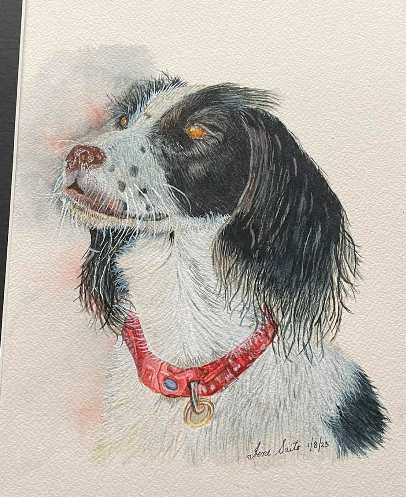 How to paint a dog in watercolor a detailed video tutorial - The Devon ...