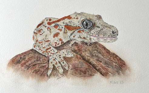 How to paint reptiles in watercolour online lesson - The Devon Artist
