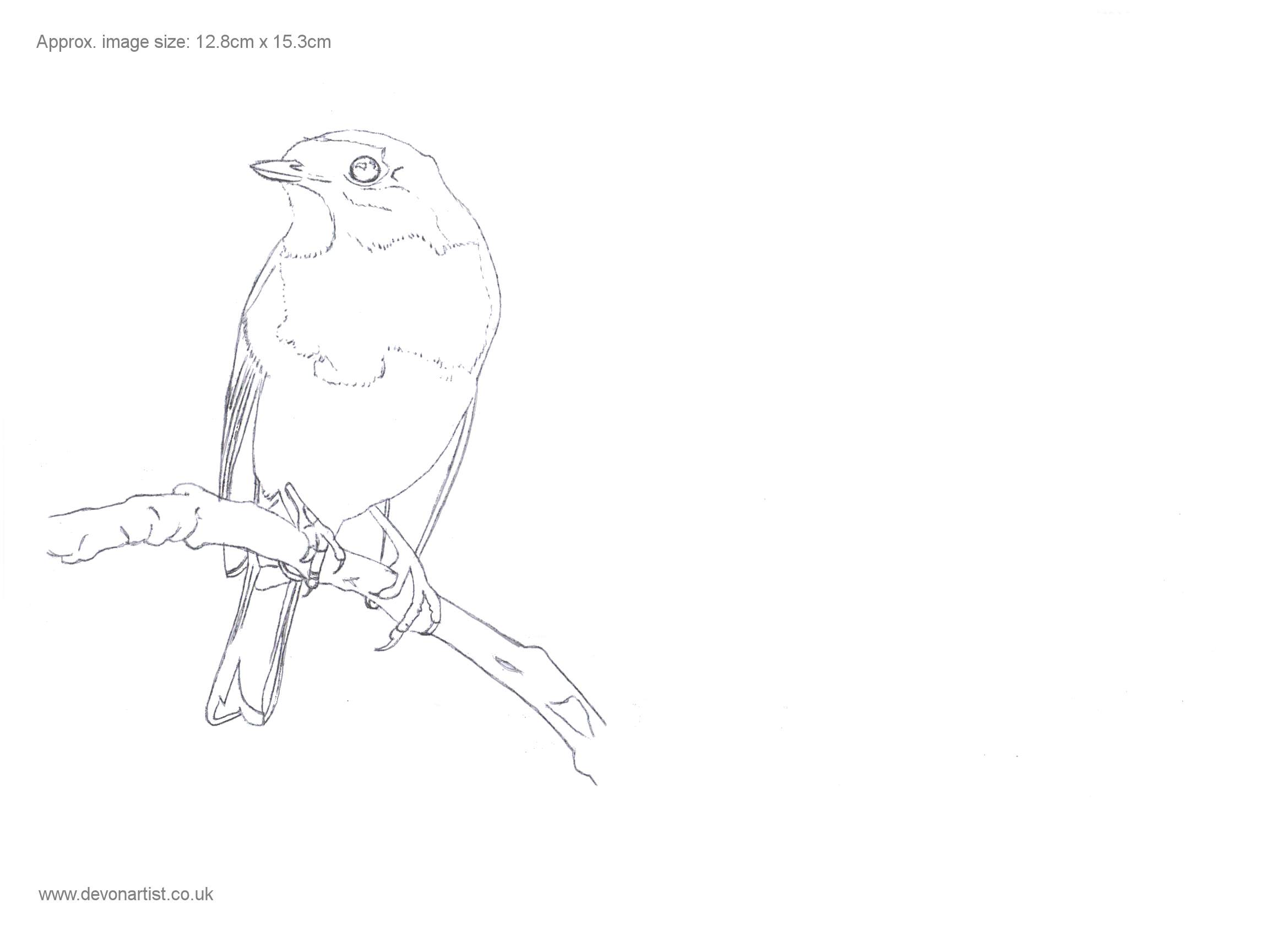 Robin watercolour painting lesson, learn to paint realistically - The ...