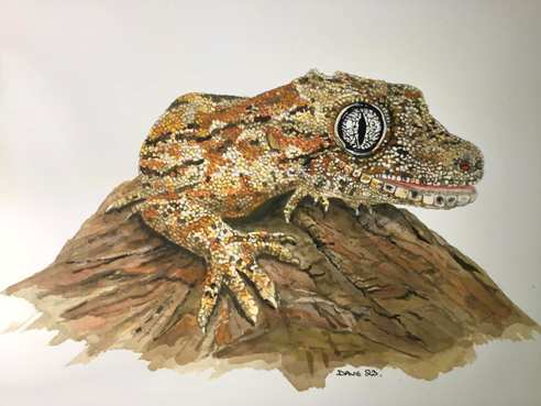 How to paint reptiles in watercolour online lesson - The Devon Artist