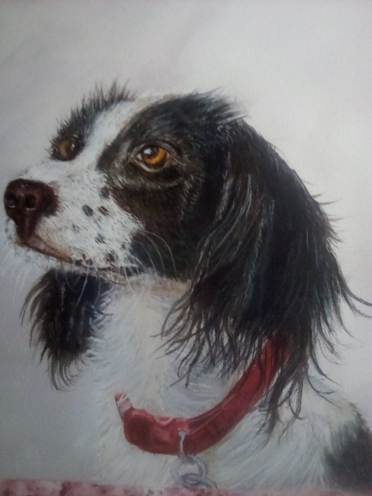 How to paint a dog in watercolor a detailed video tutorial - The Devon ...