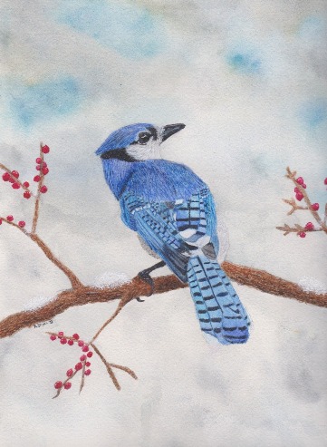 blue jay watercolor tutorial, step by step video guide - The Devon Artist