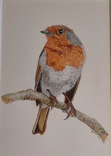 Robin watercolour painting lesson, learn to paint realistically - The ...