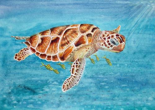Realistic watercolour painting video - Sea Turtle - The Devon Artist