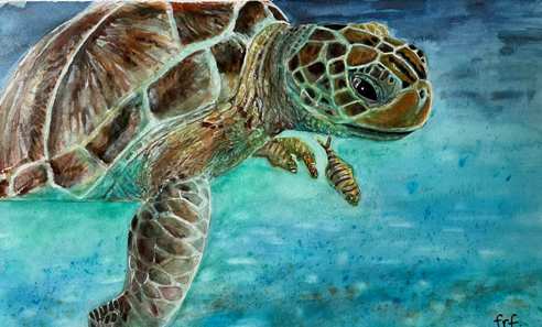 Realistic watercolour painting video - Sea Turtle - The Devon Artist