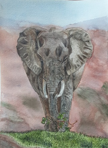 Elephant painting watercolor tutorial, realistic fine-art - The Devon ...